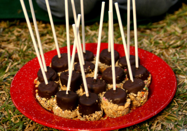 Smores on a Stick Recipe Smore Pops - CATHIE FILIAN's Handmade Happy Hour