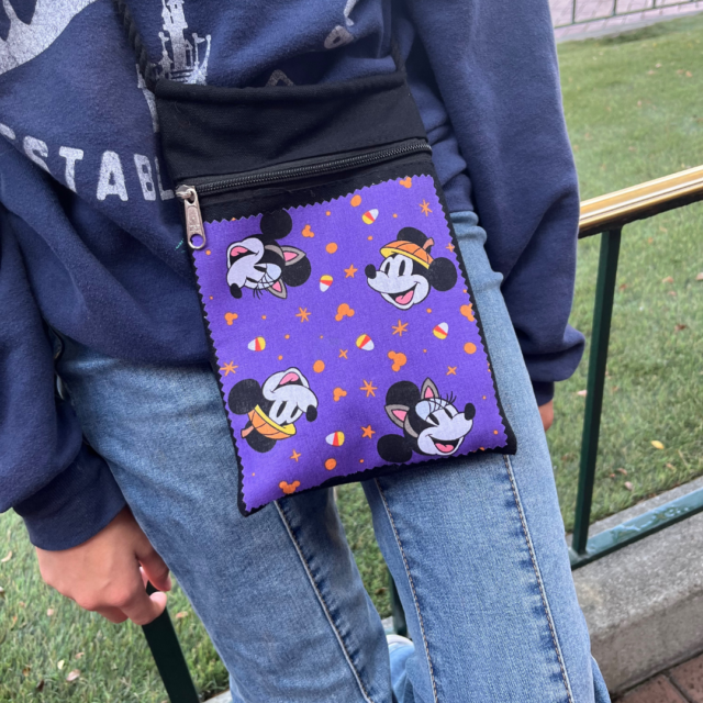 DIY Under 3 Minute Disneyland Character Purse with Fabric Mod Podge ...